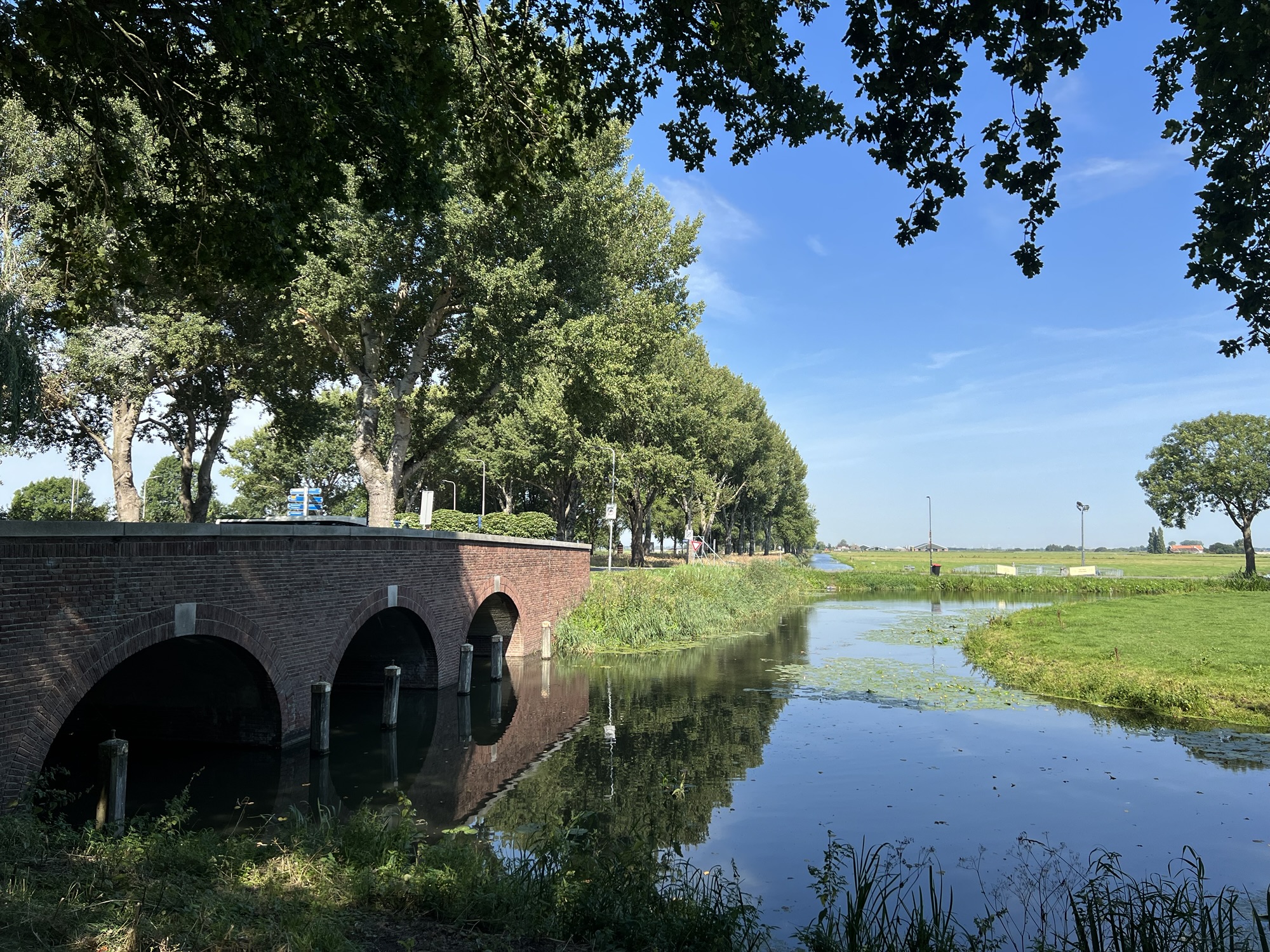 Our Family Table: Rely on God – Forever Home in the Eternal Family of God